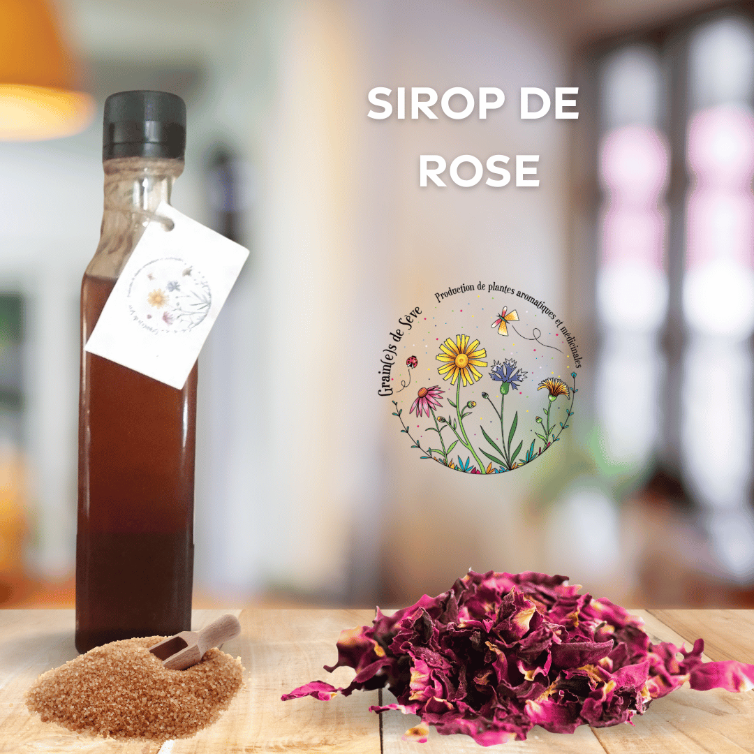 Sirops – Production de Plantes Aromatiques et Médicinales au cœur des ...